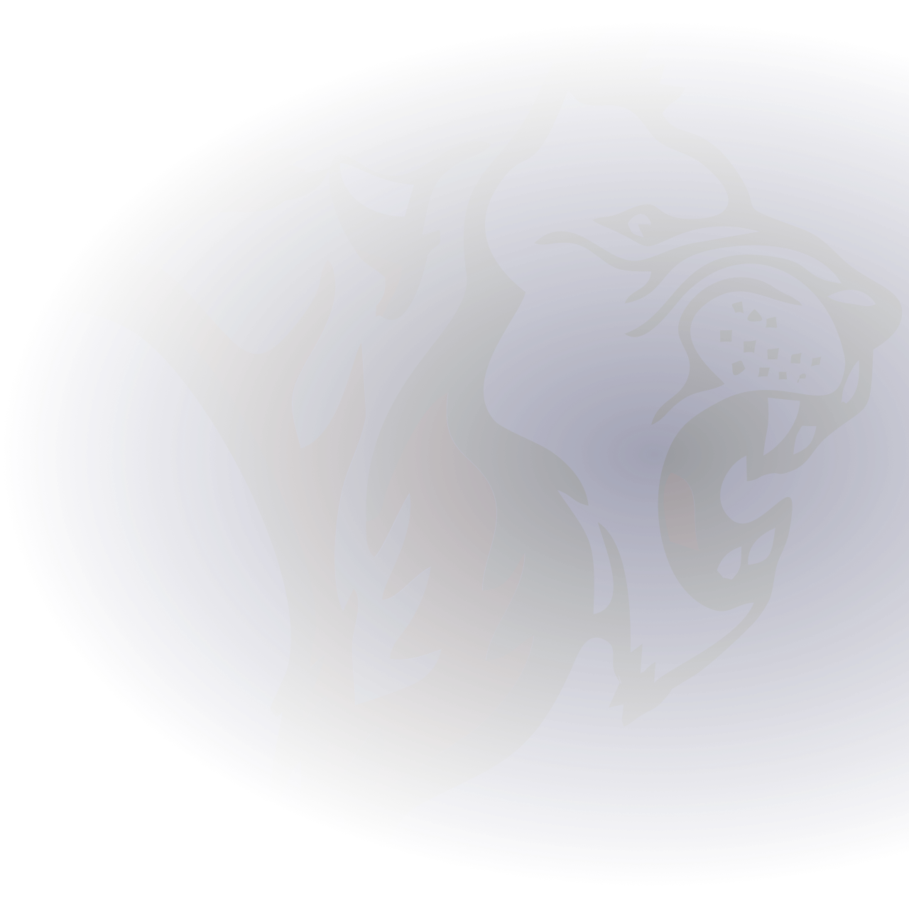 Official AFL Website of the Brisbane Lions Football Club