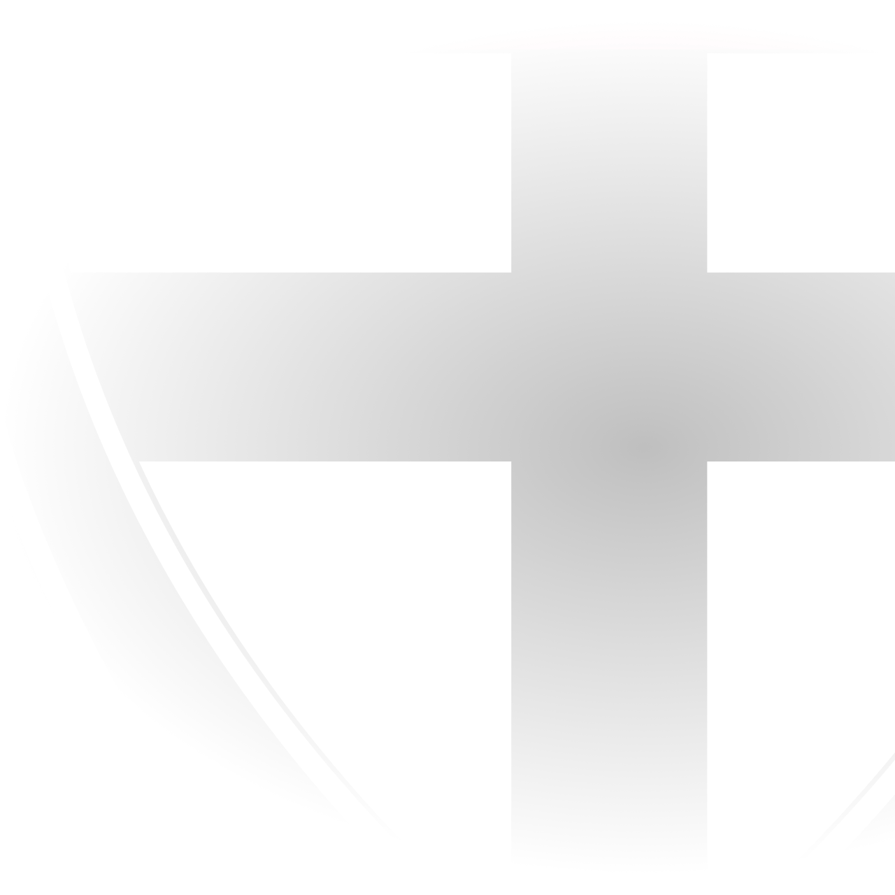 Official AFL Website of the Brisbane Lions Football Club