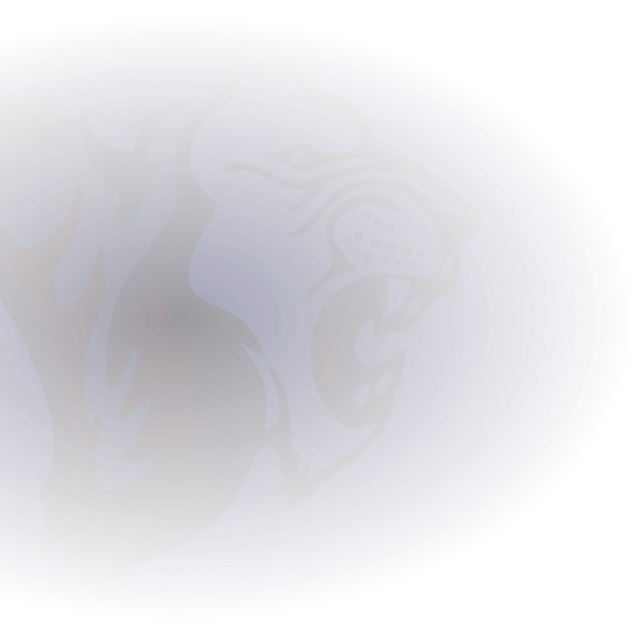 Official AFL Website of the Brisbane Lions Football Club