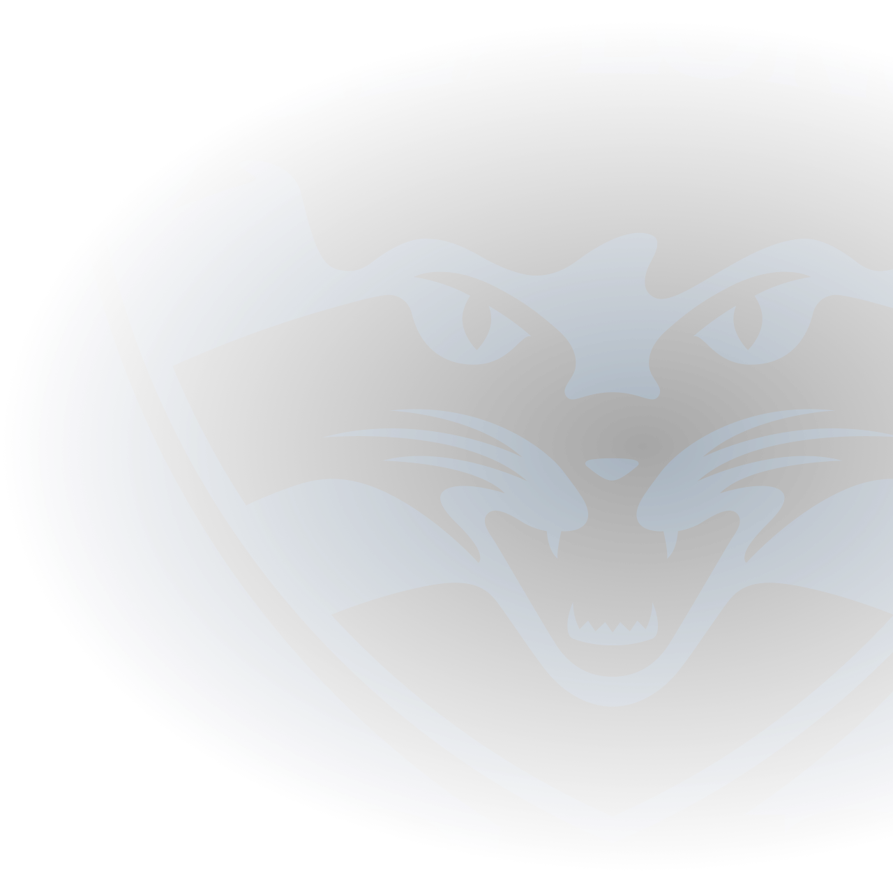 Official AFL Website of the Brisbane Lions Football Club