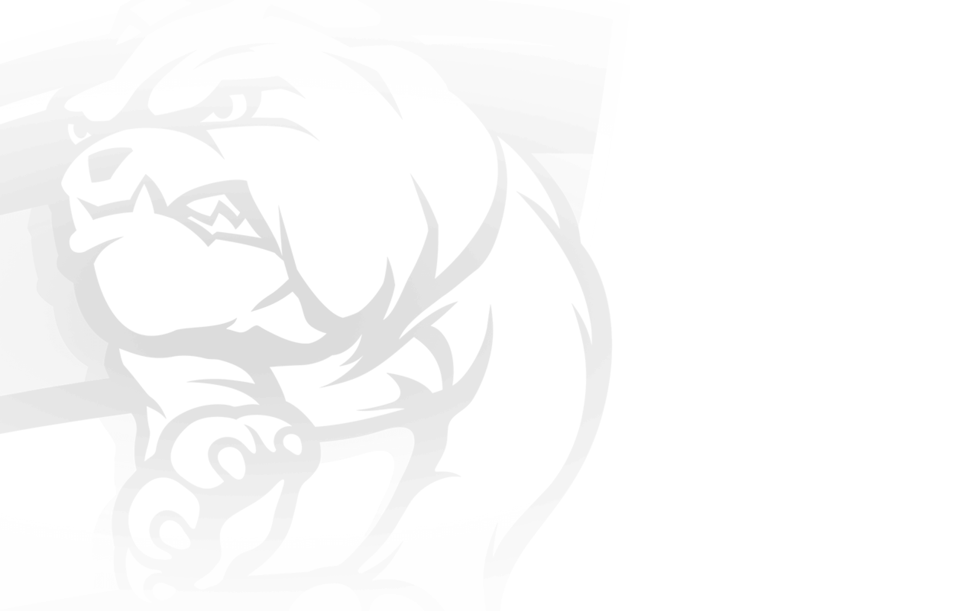 Official AFL Website of the Brisbane Lions Football Club