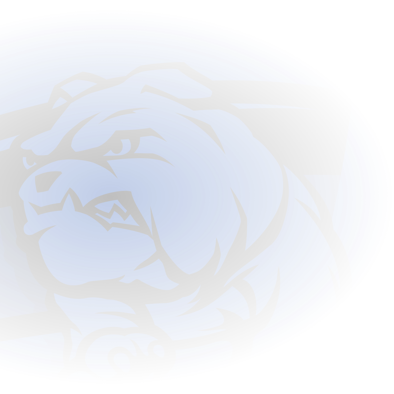 Official AFL Website of the Brisbane Lions Football Club